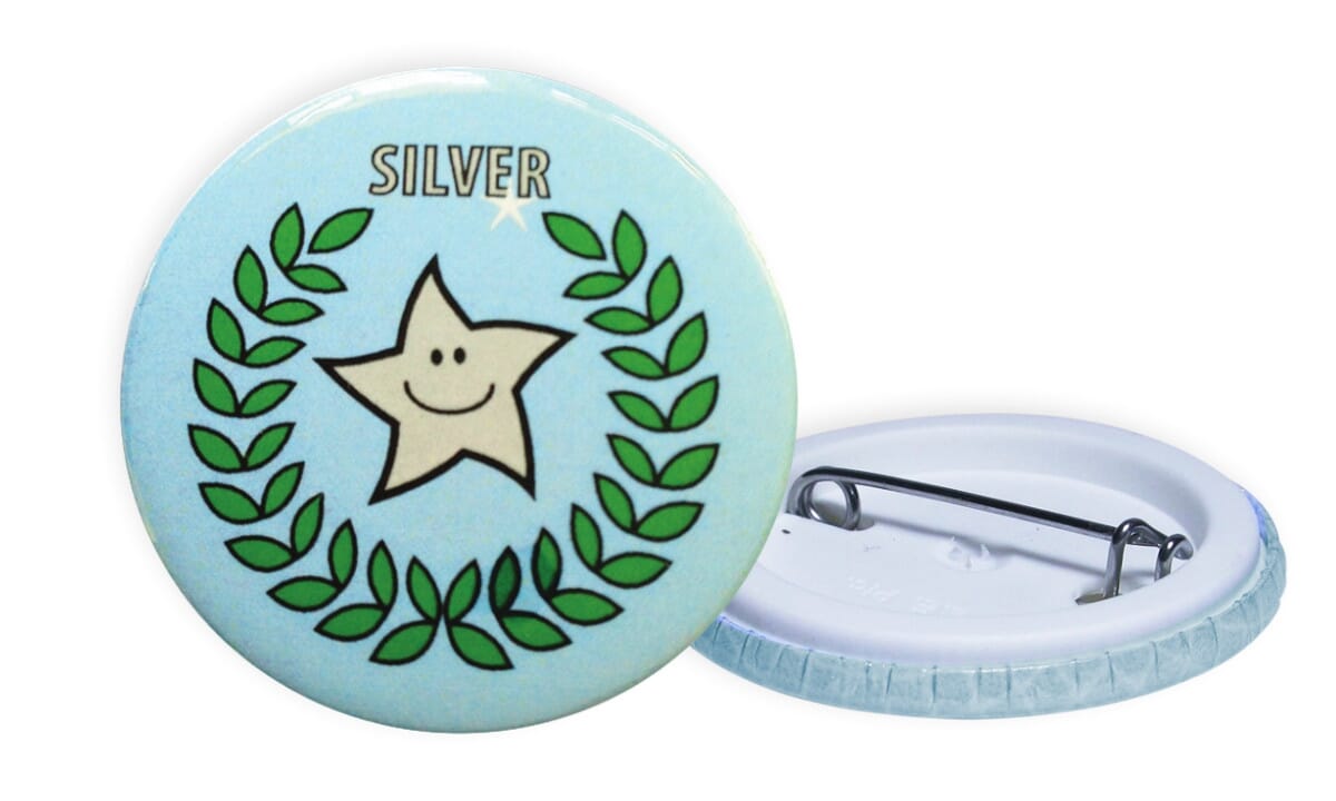 Silver Award badges - 20 per pack