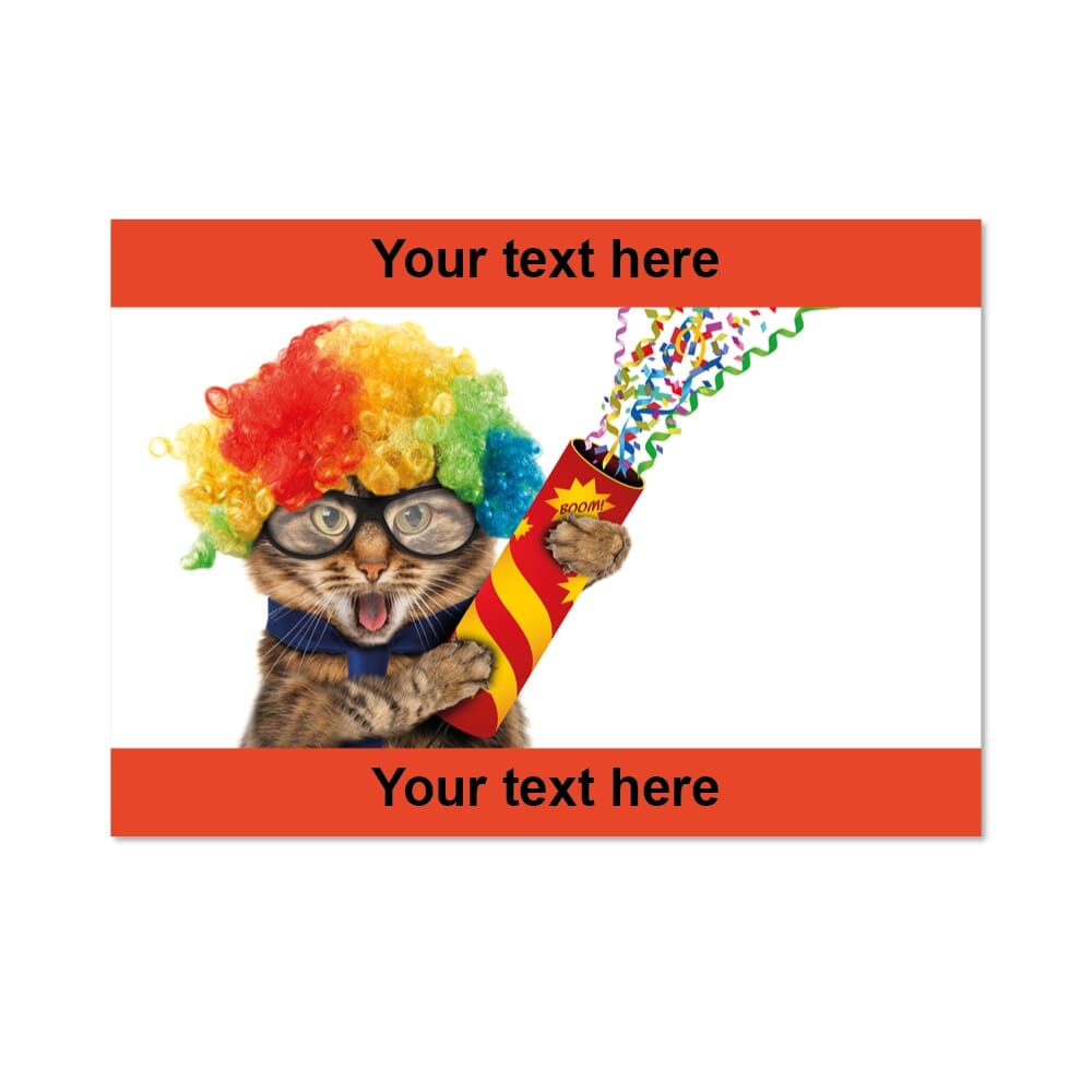 Quick Personalised Postcards - Crazy Cat